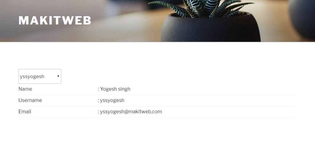 How to send AJAX request from WordPress theme